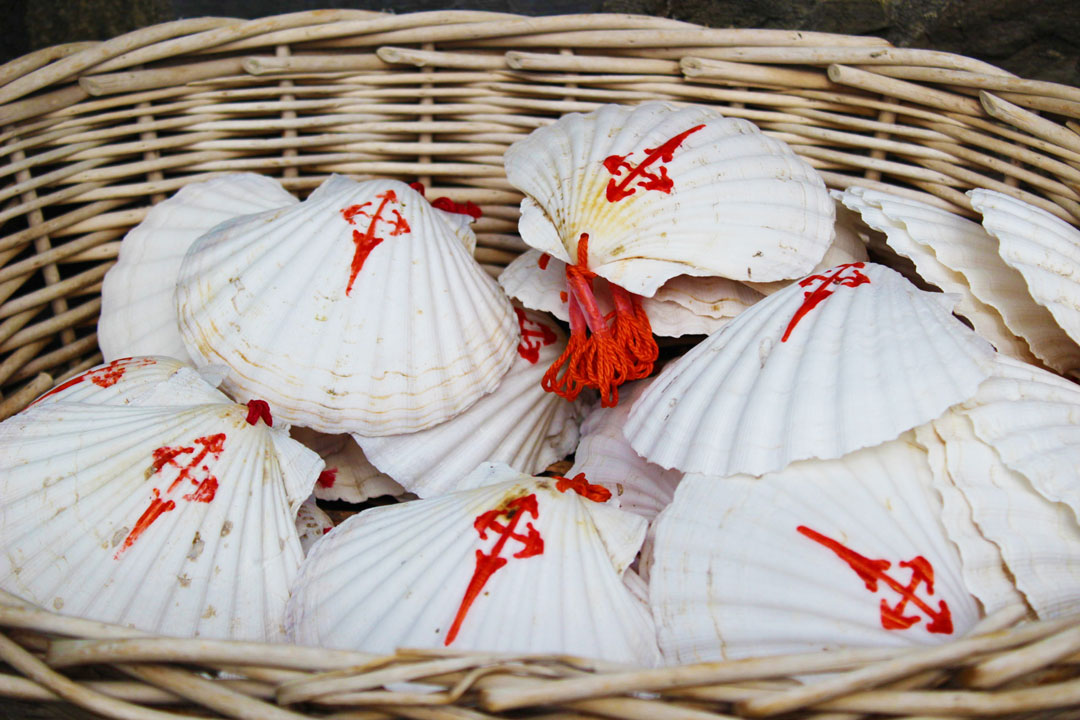 Significado de la concha de vieira